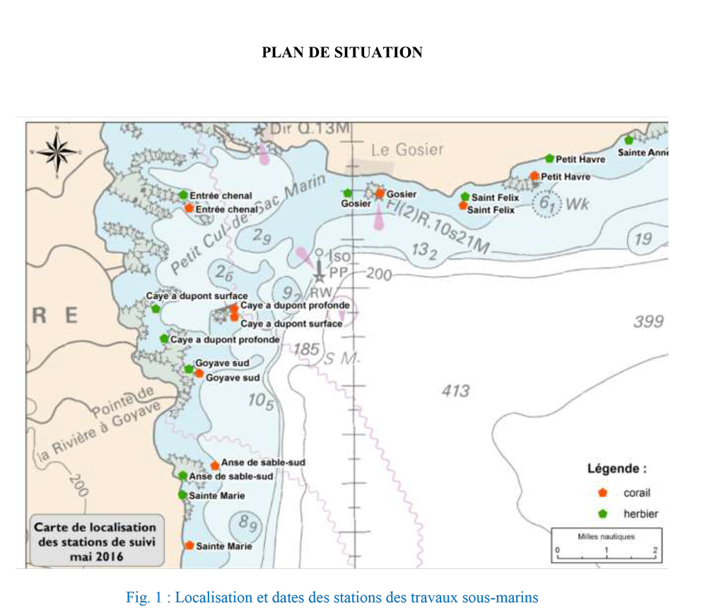 Suivis scientifiques en plongée sous-marine dans les eaux du GPMG ...