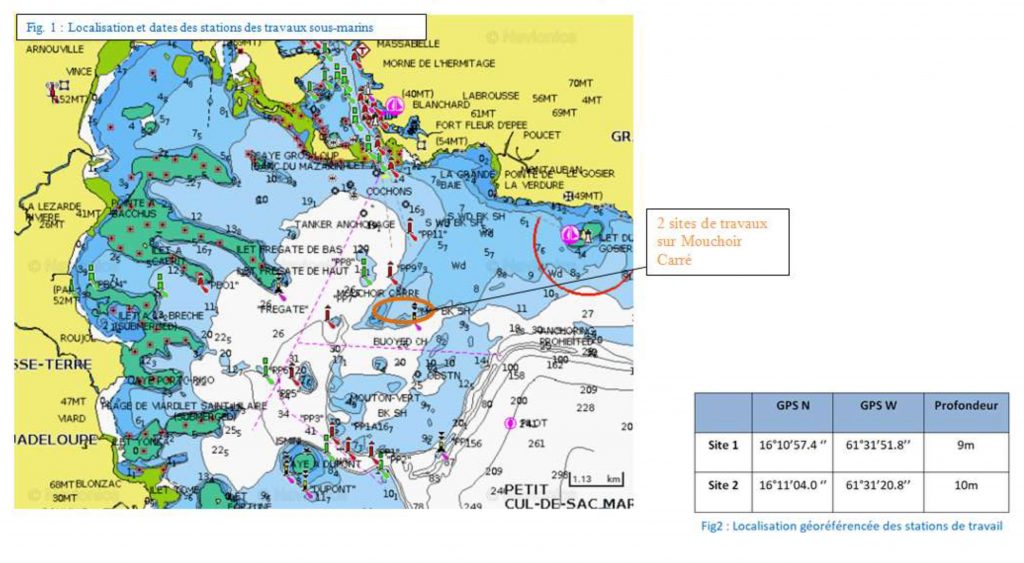 Suivi scientifique en plongée sous-marine – GPMG – Grand Port Maritime ...